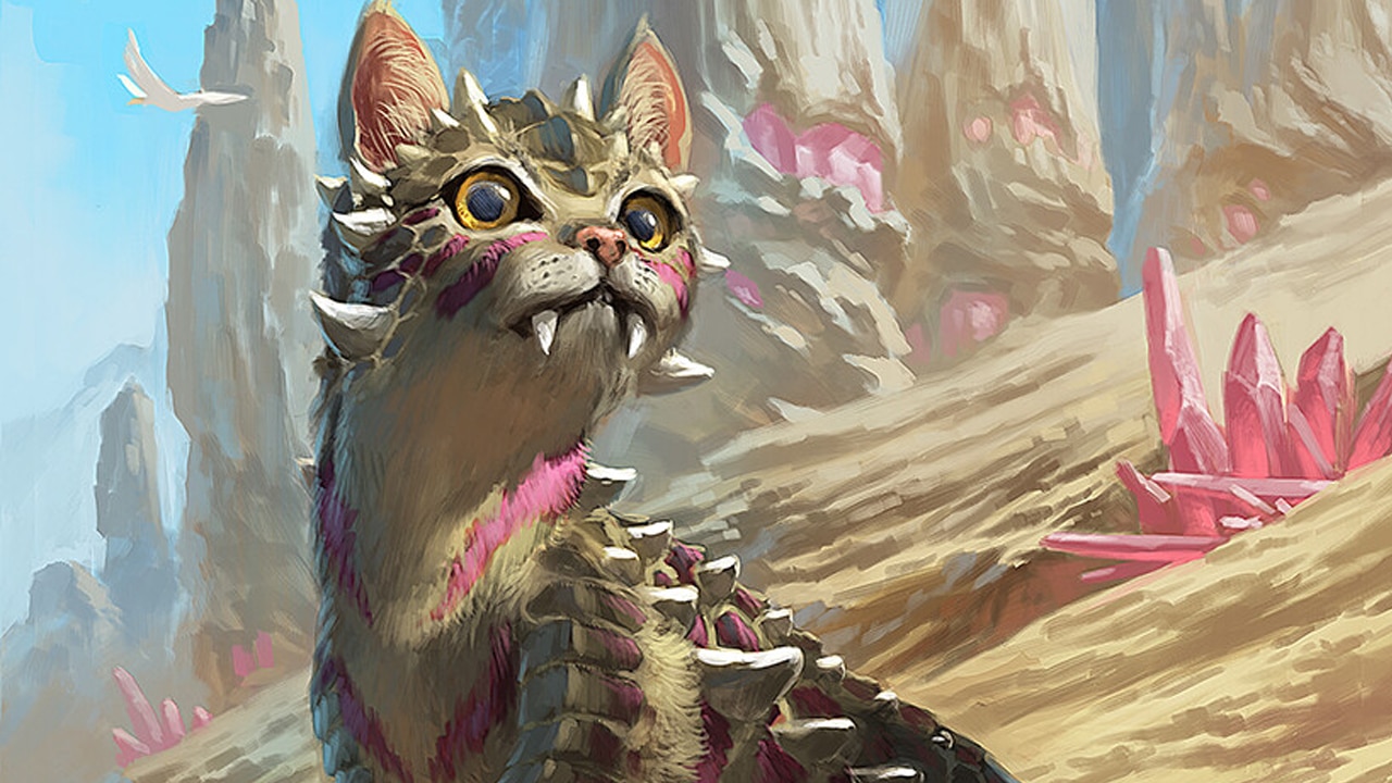 MTG Players Want To Cut Their Cards In Half?!