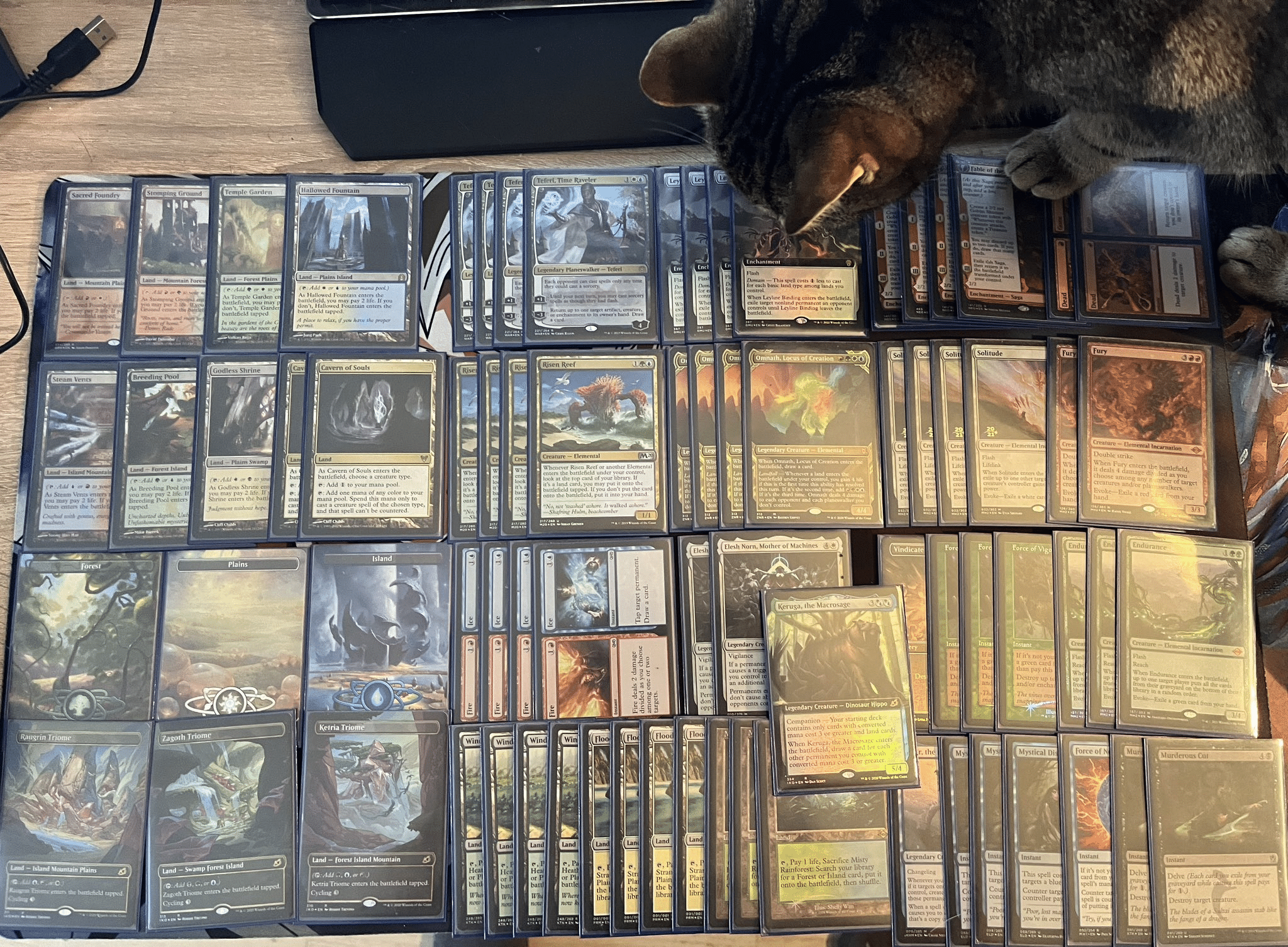 Leaked New MTG Tribal Support May Warp Multiple Formats!