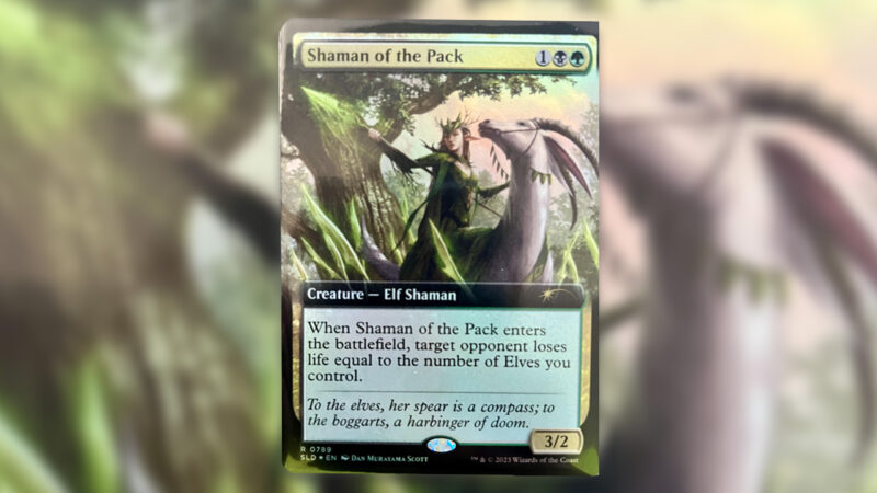 New MTG Bonus Cards Reveal Typal Reprint Trend!