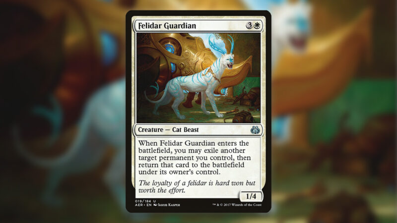 Cool Infinite Life Loss Combo Discovered in MTG Foundations Limited