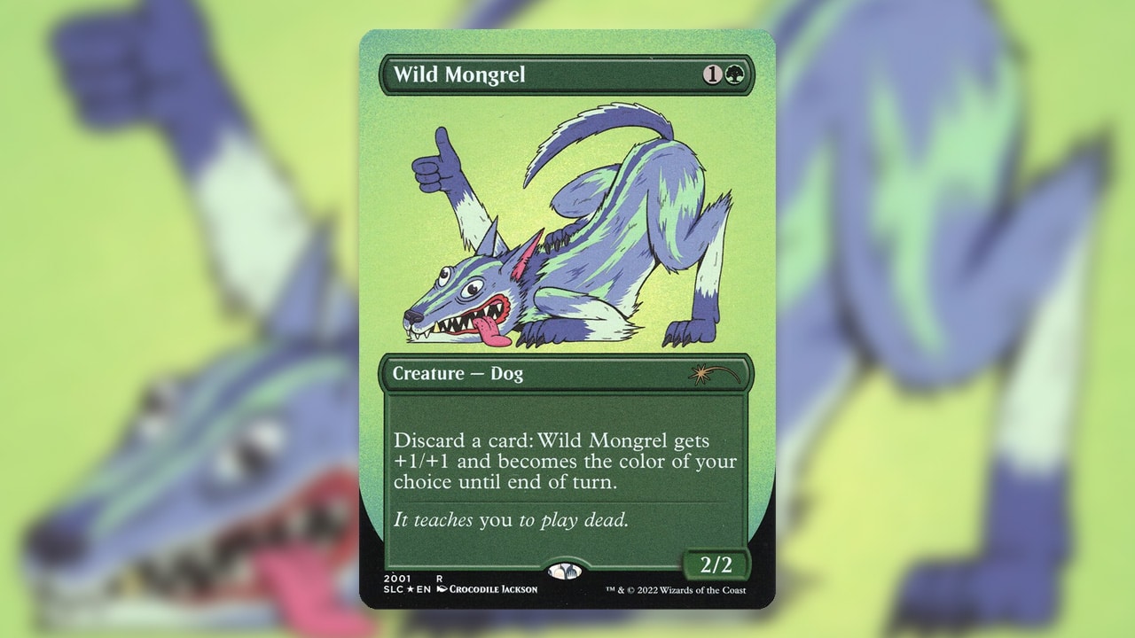 MTG Common is a Powerful Upgrade for Upcoming Cat/Dog Secret Lair Deck!