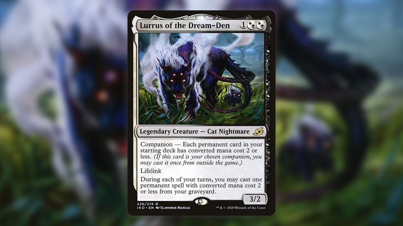 Massive Timeless Tournament Reveals Overpowered Strategy!