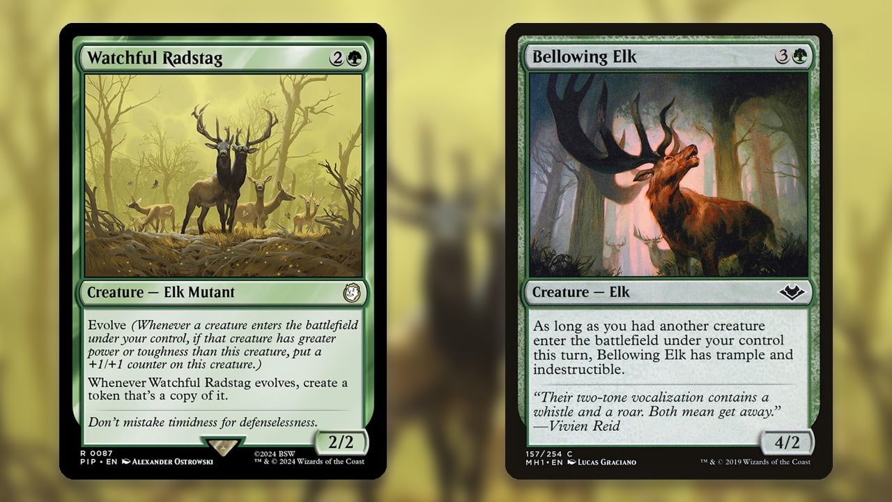 MTG Players Support Suggested Card Border Change