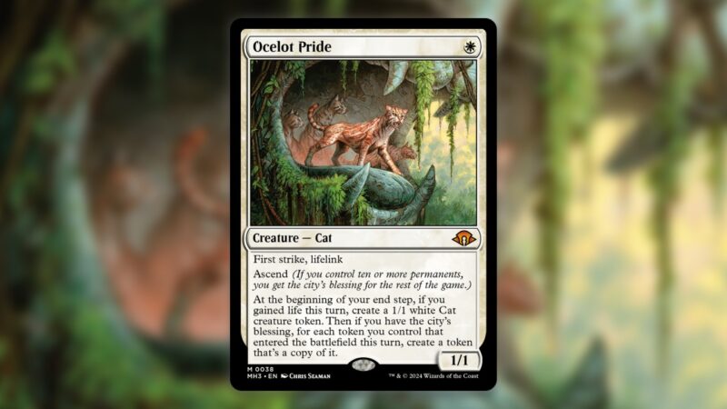 MTG Best Modern Decks (July 2024)