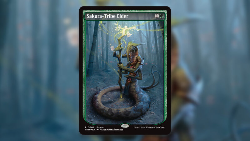 First Ever MTG Stat-less Promo Revealed!