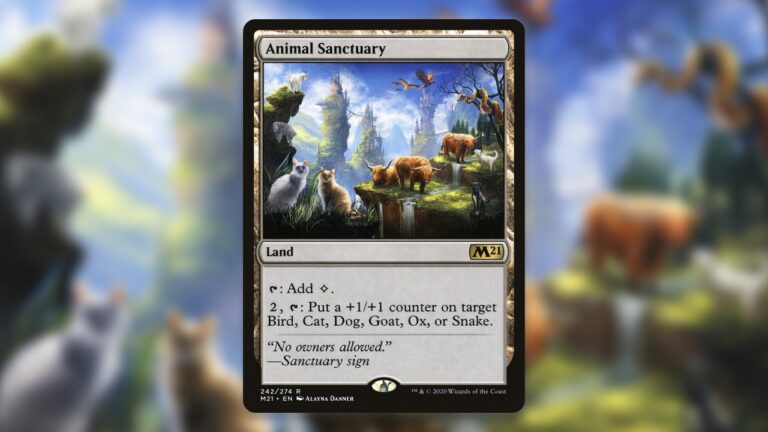 The Best Animal Support Cards In MTG!