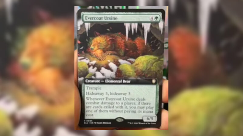 19 Unexpected Bloomburrow EDH Leaks Reveal Card that Grants ...