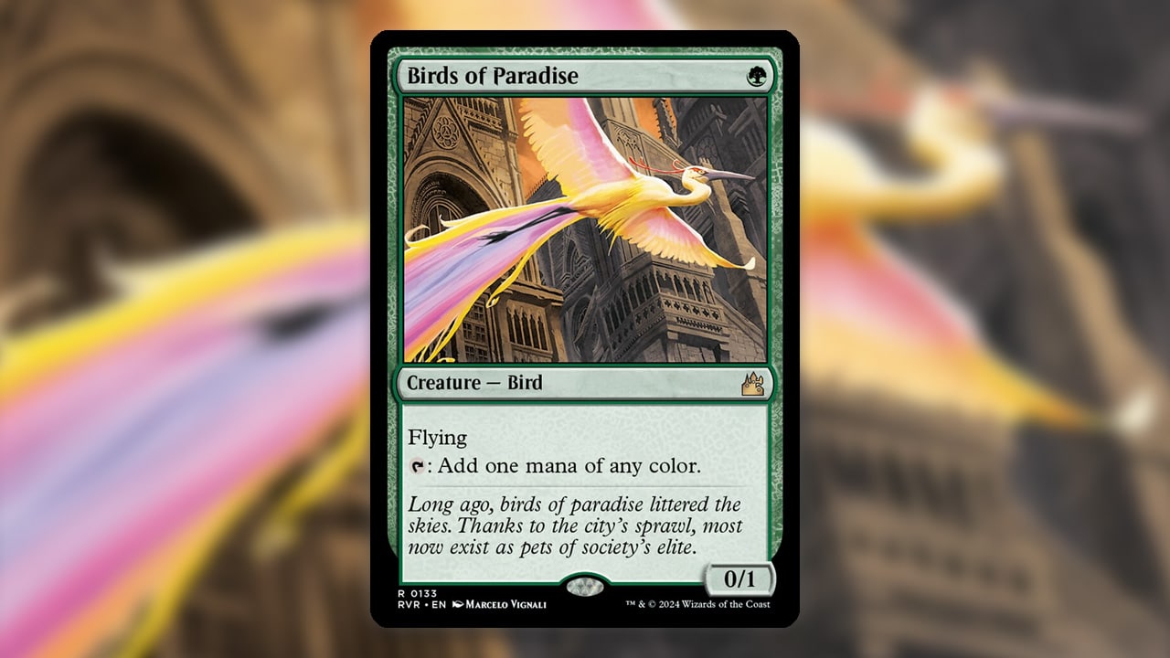 Top Five MTG Best Bird Cards